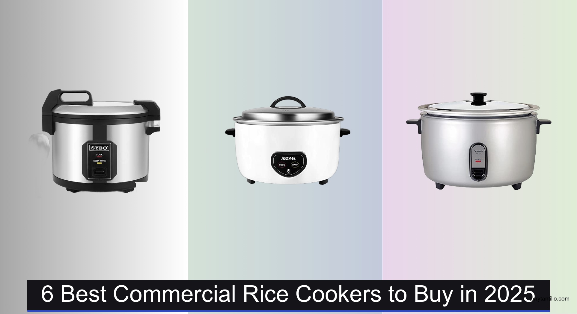6 Best Commercial Rice Cookers to Buy in 2026