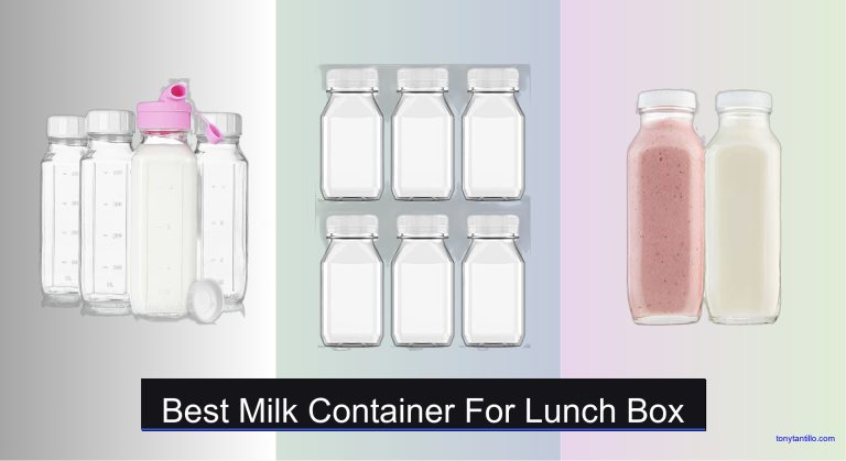 6 Best Milk Containers for Lunch Box 2026