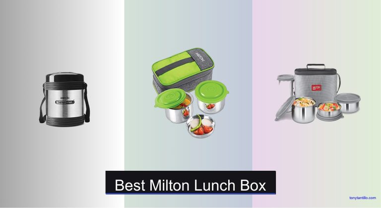 7 Best Milton Lunch Boxes to Buy in 2026