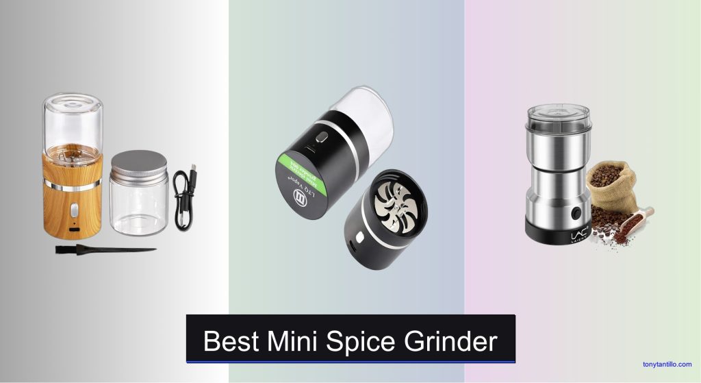 6 Best Mini Spice Grinders to Buy in 2025