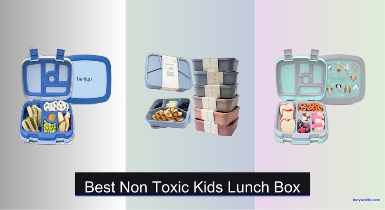 5 Best Non-Toxic Kids Lunch Boxes of 2026