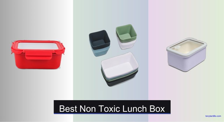 8 Best Non Toxic Lunch Boxes of 2026