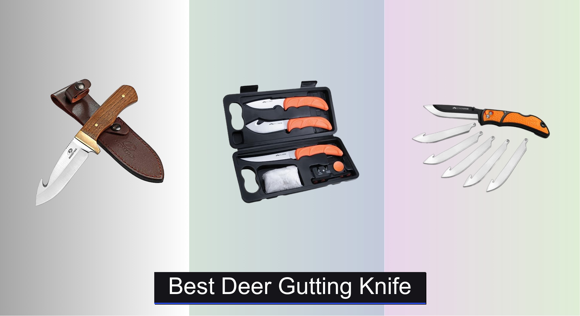 7 Best Deer Gutting Knives to Buy in 2026