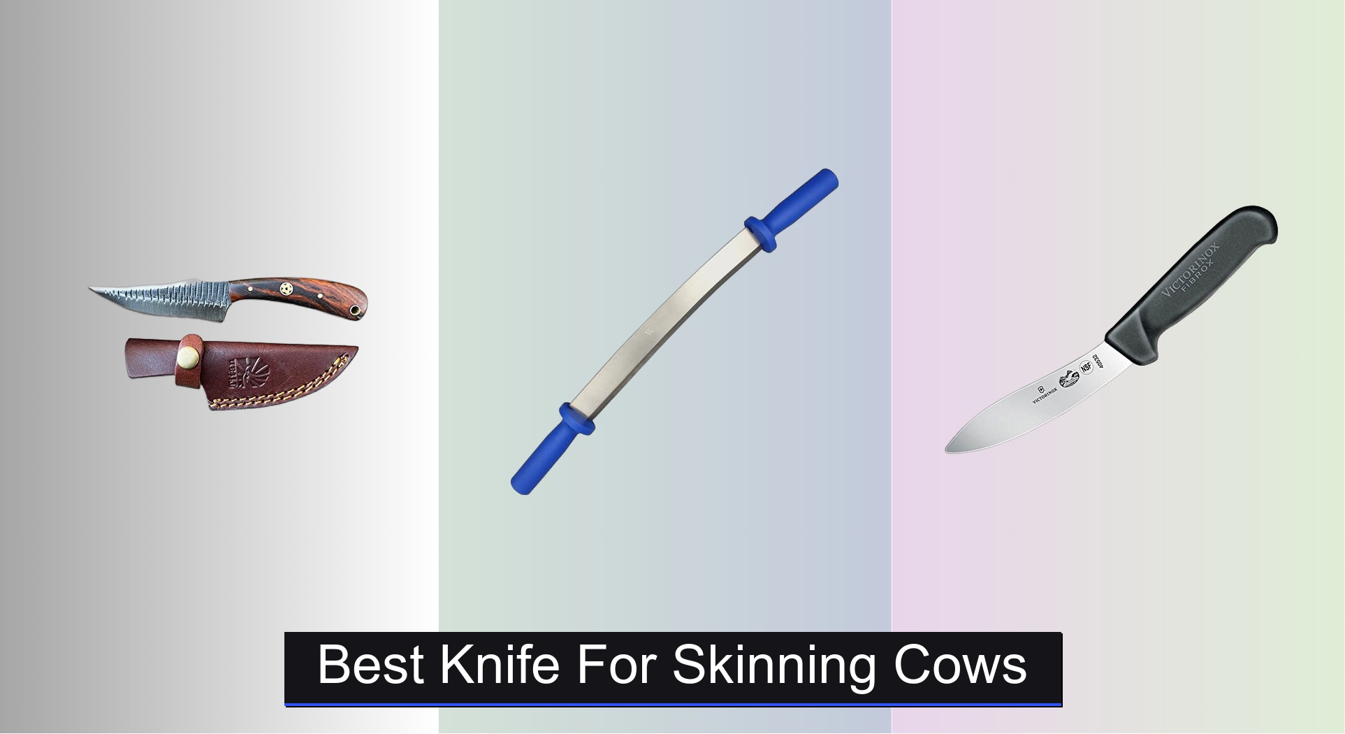 8 Best Knives for Skinning Cows (2025 Guide)