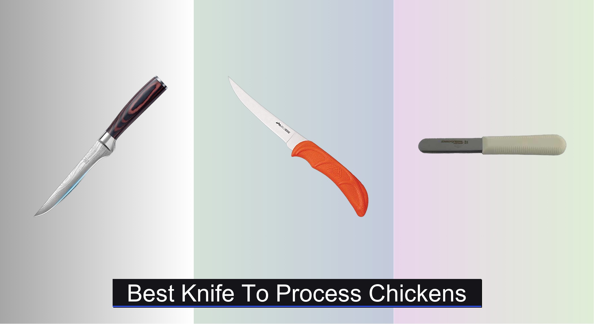 7 Best Knives to Process Chickens in 2026