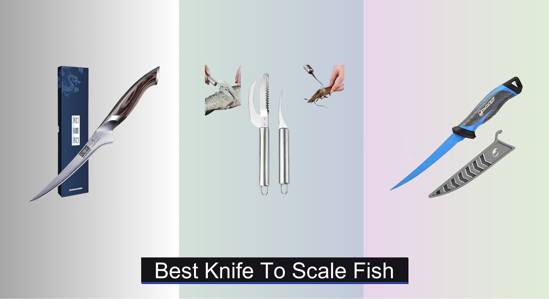 6 Best Knives to Scale Fish in 2025
